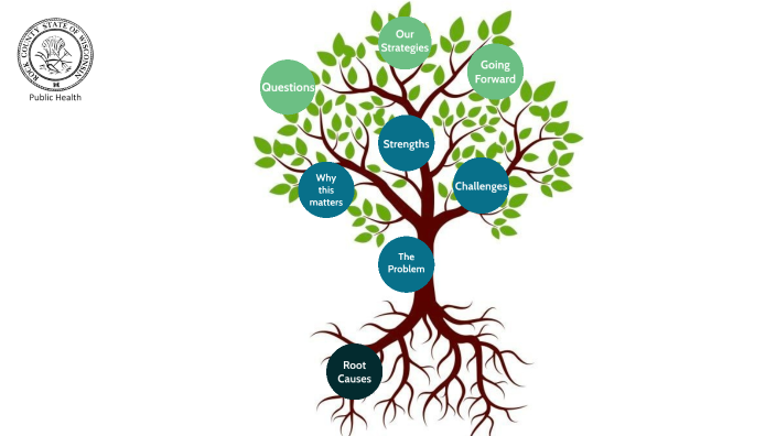 Violence Prevention Assessment by Samantha Axon