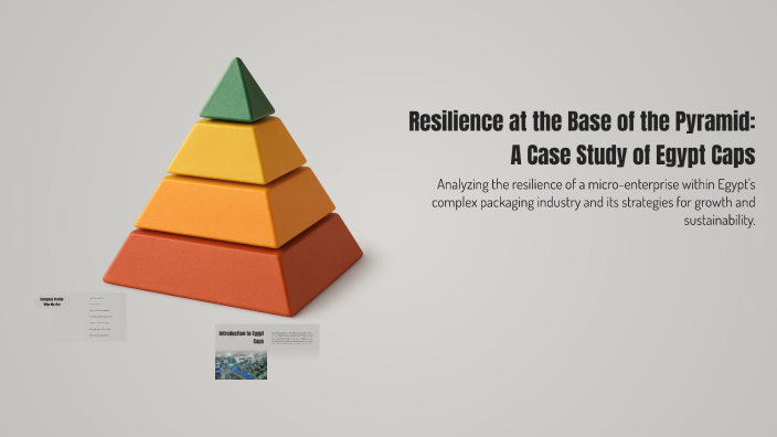 Resilience at the Base of the Pyramid: A Case Study of Egypt Caps by ...