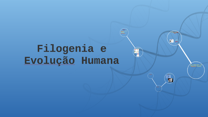Filogenia e Evolução Humana by Priscila Torreão on Prezi
