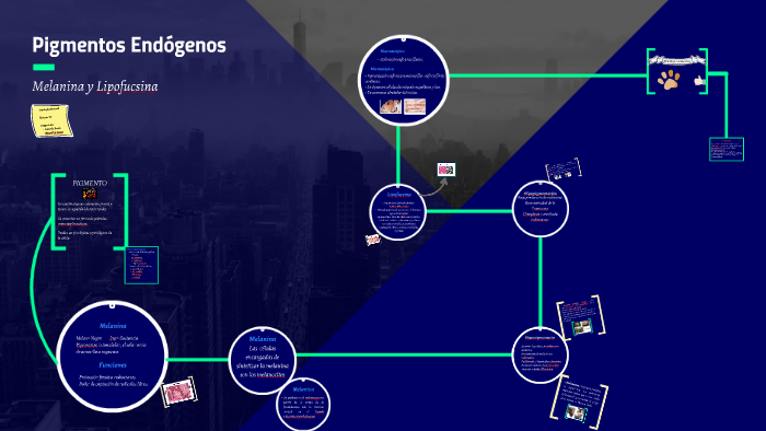 Pigmentos Endogenos by Ricardo Rosas on Prezi