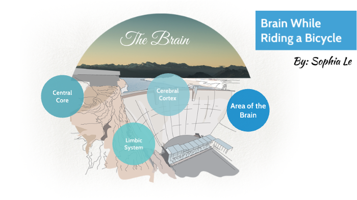 Brain While Riding a Bicycle by Baonhi Le on Prezi