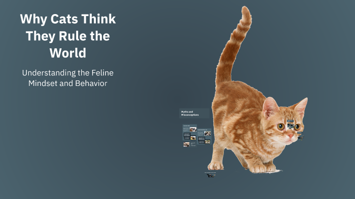 Why Cats Think They Rule the World by GamerHells on Prezi