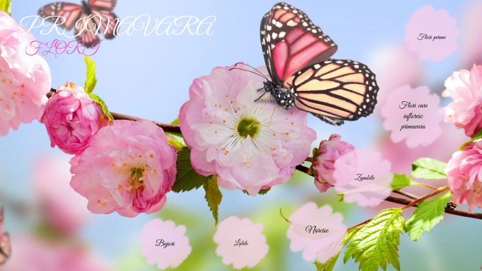 PRIMAVARA by Copil Tania-Laura on Prezi