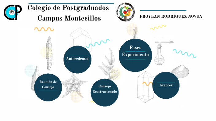 Reunión de Consejo Particular by FROYLAN RODRIGUEZ NOVOA on Prezi