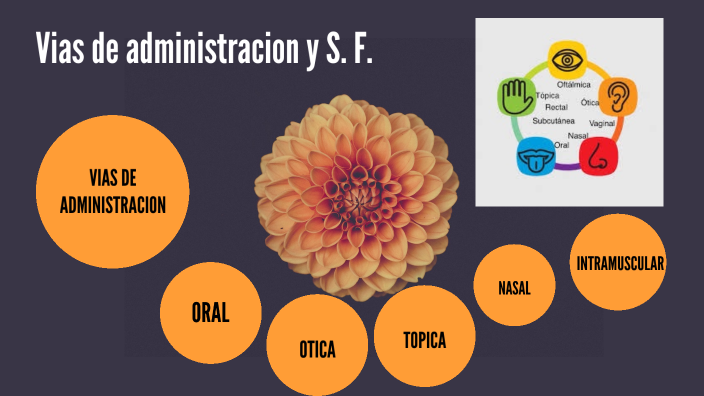 Vias de Admon y S.F. by Lizeth Paola Ortiz on Prezi