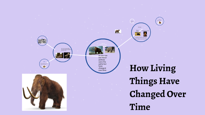 how living things have changed over time by Phoenix Finlay on Prezi