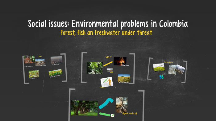 Social issues: Environmental problems in Colombia by Jully Pamela ...