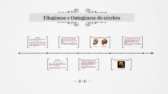 Filogénese e Ontogénese do cérebro by Catarina Ramirez on Prezi