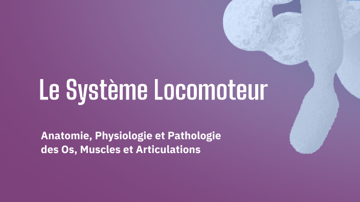 Le Système Locomoteur by Aurélie Miceli on Prezi