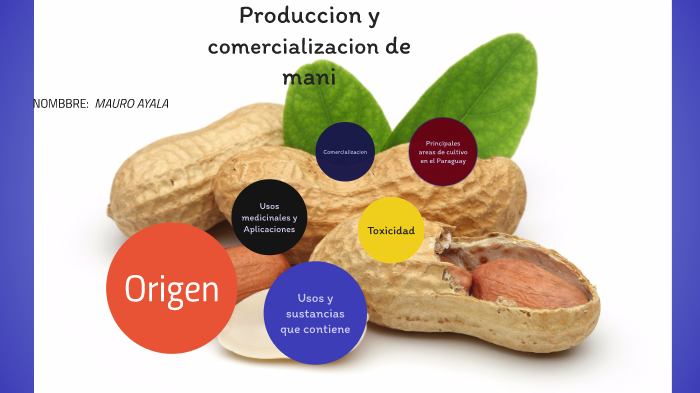 Produccion de mani by mauro ayala on Prezi