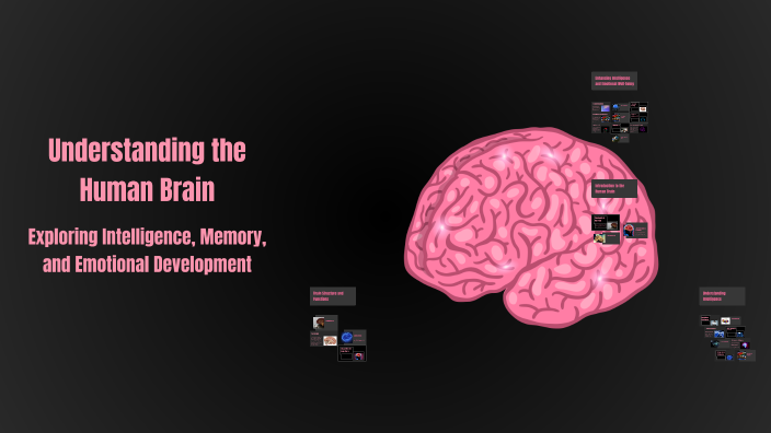 Understanding the Human Brain by همس علي حمد سعيد المقرشية on Prezi
