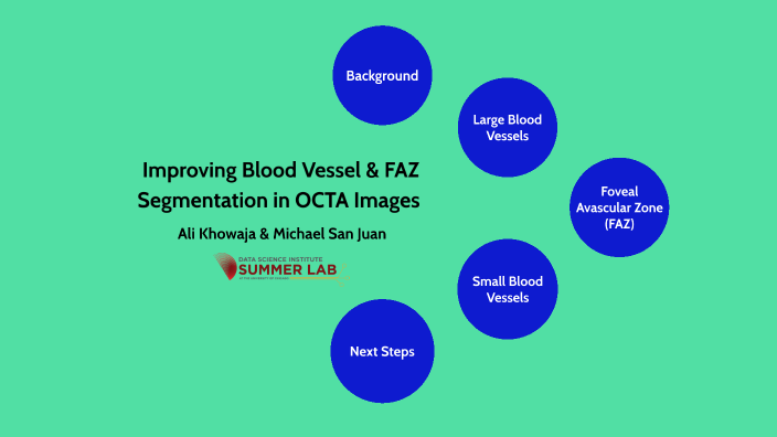 OCTA Image Segmentation by Ali Shadab Khowaja on Prezi
