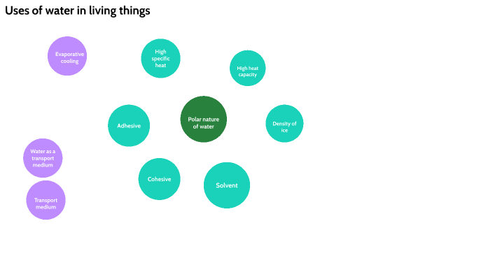 Uses of water in living things by Dr. Webb on Prezi