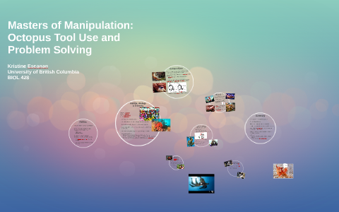 Masters of Manipulation: Octopus Tool Use and Problem Solvin by ...