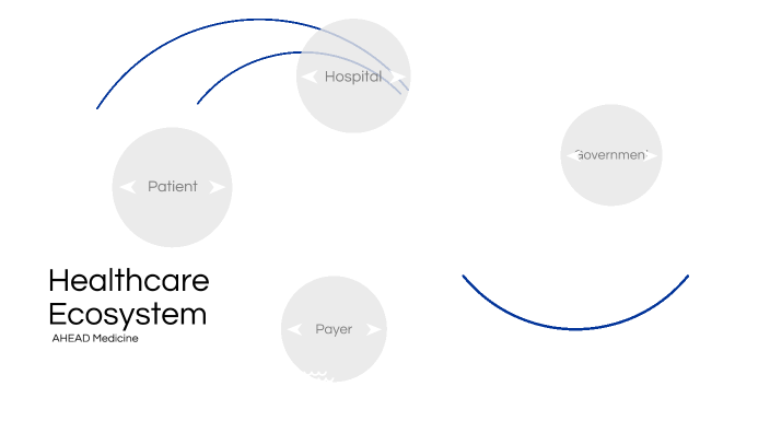 Healthcare Ecosystem by Frances Cheng on Prezi