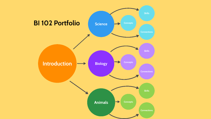 Portfolio by Nolan Britton on Prezi