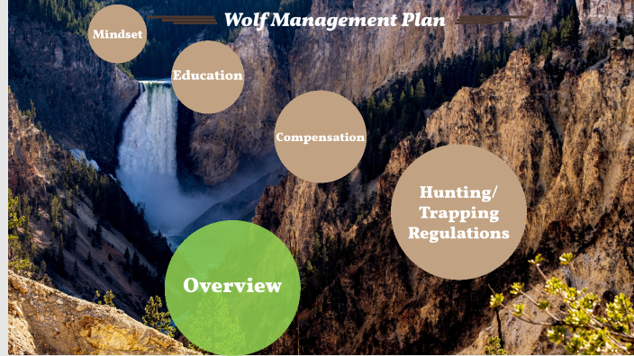 Wolf Management Plan by Remy Sexton