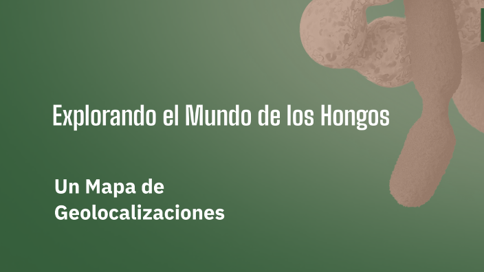 Explorando el Mundo de los Hongos by FERNANDA PAZ ZAMORANO on Prezi