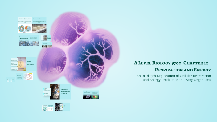 A Level Biology 9700: Chapter 12 - Respiration and Energy by Ali Rada ...