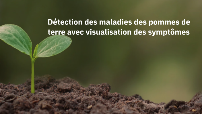 Détection des maladies des pommes de terre avec visualisation des ...