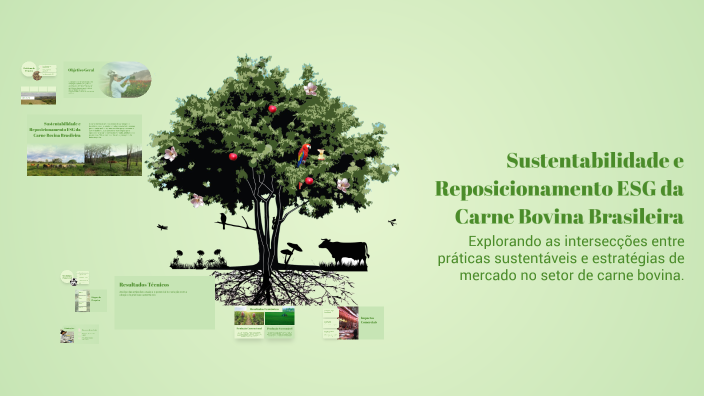 Sustentabilidade e Reposicionamento ESG da Carne Bovina Brasileira by ...