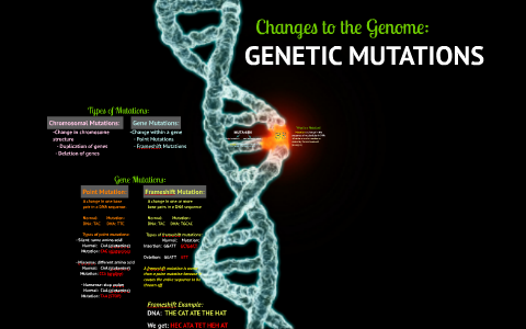 Mutation: a change in the sequence of nucleotides in DNA by LPS Biology ...