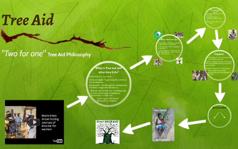 Tree Aid by charlie rodwell on Prezi