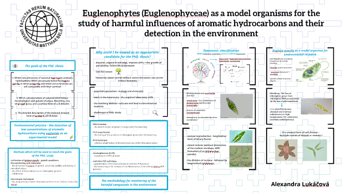 Euglenophytes (Euglenophyceae) as a model organisms for the by ...