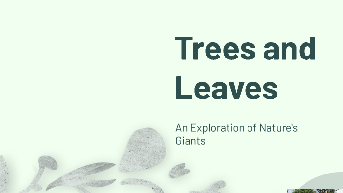 Trees and Leaves by BURCU ERDAL on Prezi
