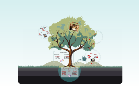 Būtasis dažninis laikas by Fausta Liutkutė on Prezi