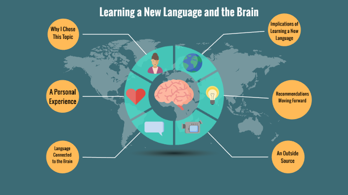 How the Brain Learns a New Language by Alex Russo on Prezi