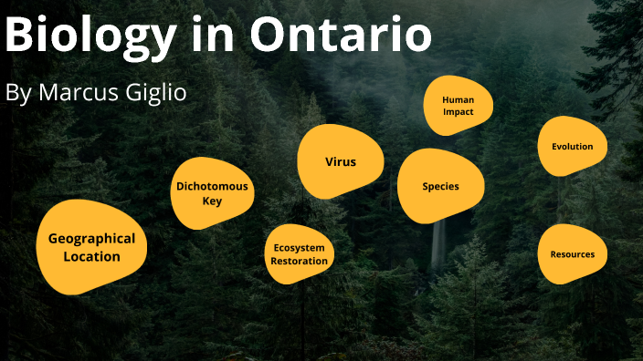 Biology in Ontario by Marcus Giglio on Prezi