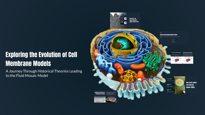 Exploring the Evolution of Cell Membrane Models by Jaden Sarmiento on Prezi