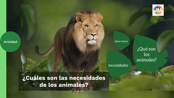 Necesidades de los animales by Georgia Uipan on Prezi