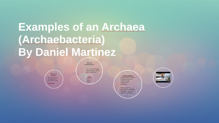 Examples of an Archae by Daniel Martinez on Prezi