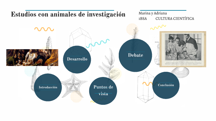 ESTUDIOS CON ANIMALES DE INVESTIGACIÓN by Adriana Martín Arbiol on Prezi