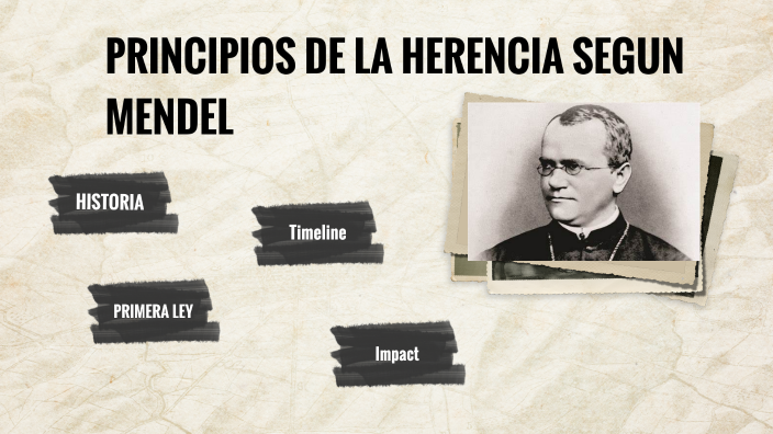 PRINCIPIOS DE LA HERENCIA SEGUN MENDEL by Gonzalo Gomez on Prezi