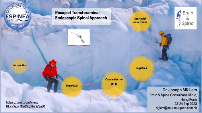 Recap of Transforaminal Endoscopic Spinal Approach 2023 by Joseph Lam ...