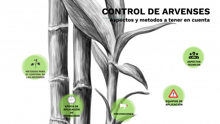 Control de arvenses by Isabella Betancourt on Prezi