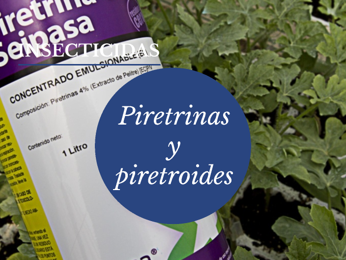 Piretrinas/piretroides by Brandon Moya on Prezi