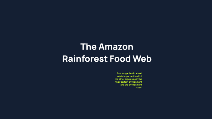 Amazon Rainforest Food Web by Caroline Moore on Prezi