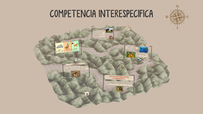 COMPETENCIA INTERESPECIFICA by lau cuadr on Prezi Next