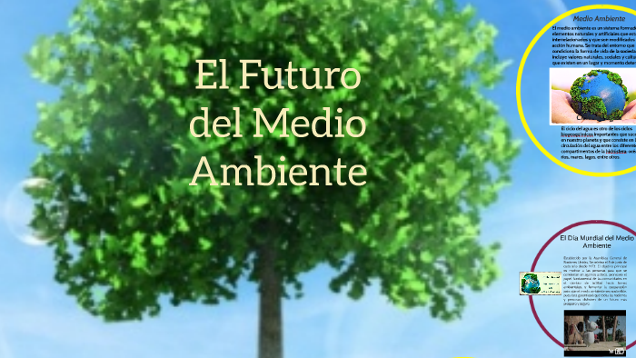 El Futuro del Medio Ambiente by Carla Evelyn Rodríguez Fernández