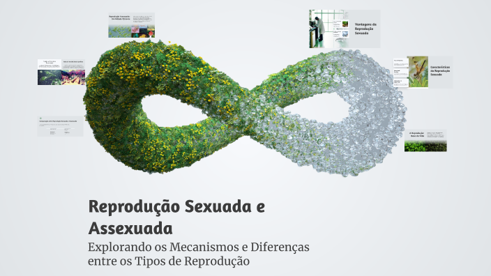 Reprodução Sexuada e Assexuada by Lekzin's jr on Prezi