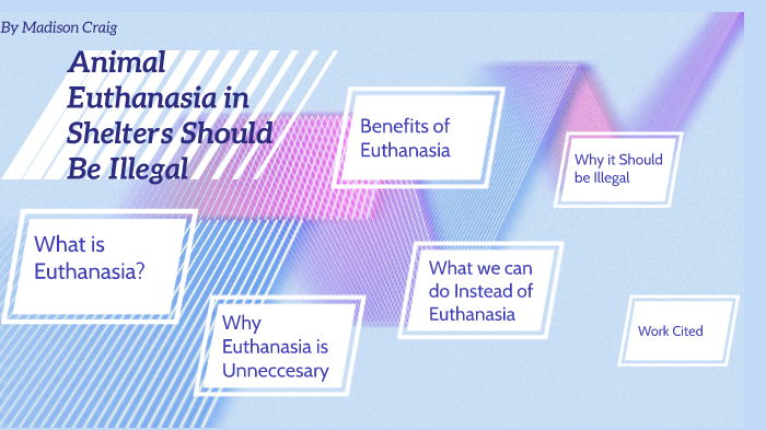 Animal Euthanization in Shelters by Madison Craig on Prezi