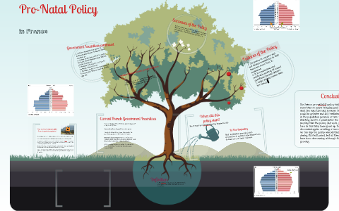 Pro-Natalist Policy in France by Talha Mahmood on Prezi
