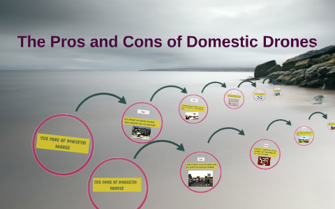 The Pros and Cons of Domestic Drones by Emma Martin on Prezi