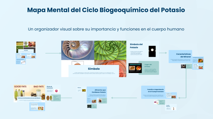 Mapa Mental del Ciclo Biogeoquímico del Potasio by Diego Reguel on Prezi