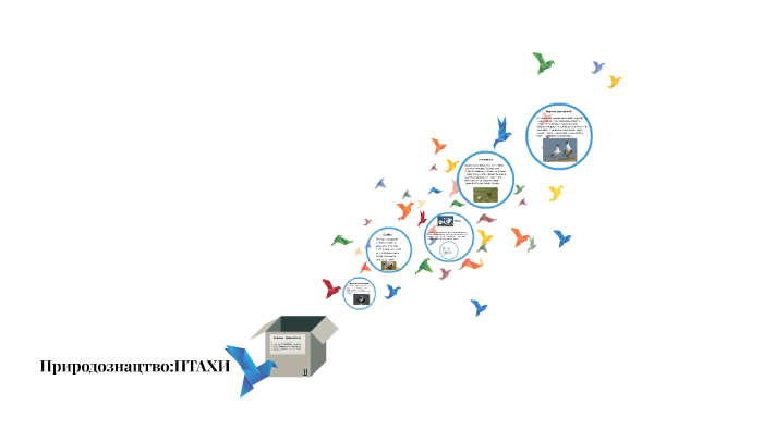 Природознацтво:ПТАХИ by Sofia Tkachenko on Prezi