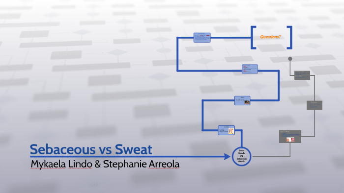 Sebaceous Glands vs Sweat Glands by Mykaela Lindo on Prezi